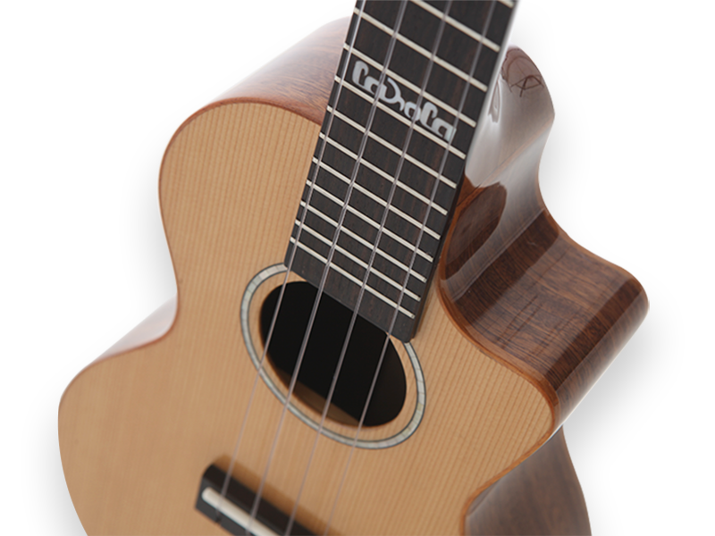 Ukulele | 위키위키